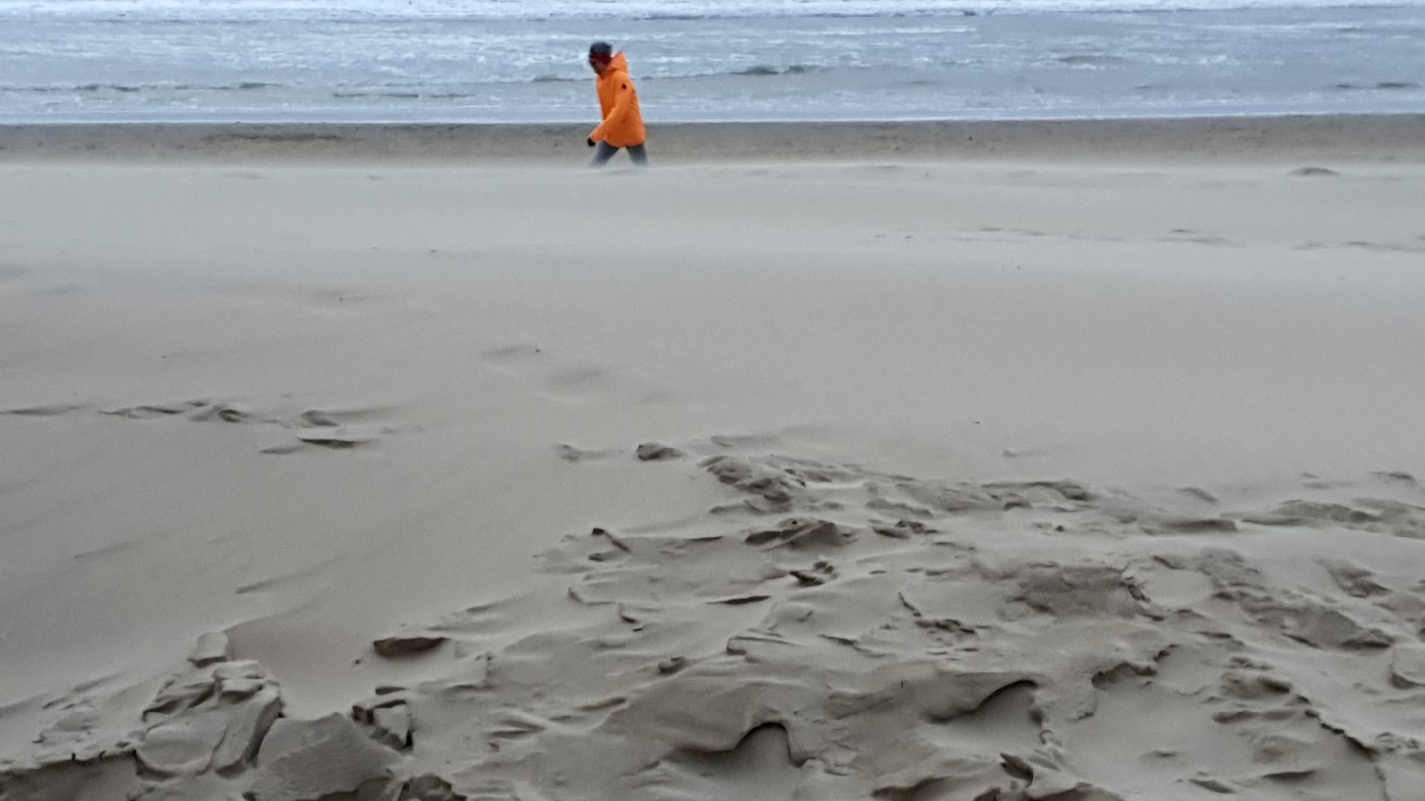 FILMI IN GOSTJE - Kino Otok - Isola Cinema